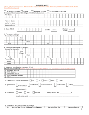 BIODATA SHEET Doc Template | pdfFiller