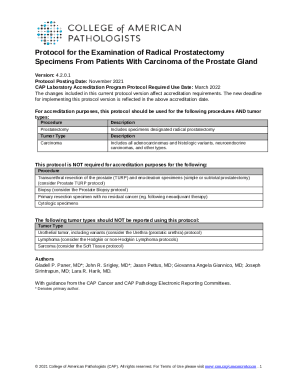 Protocol for the Examination of Radical Prostatectomy Specimens From ...