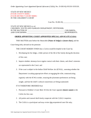 CASA Order of Appointment Template Doc Template | pdfFiller