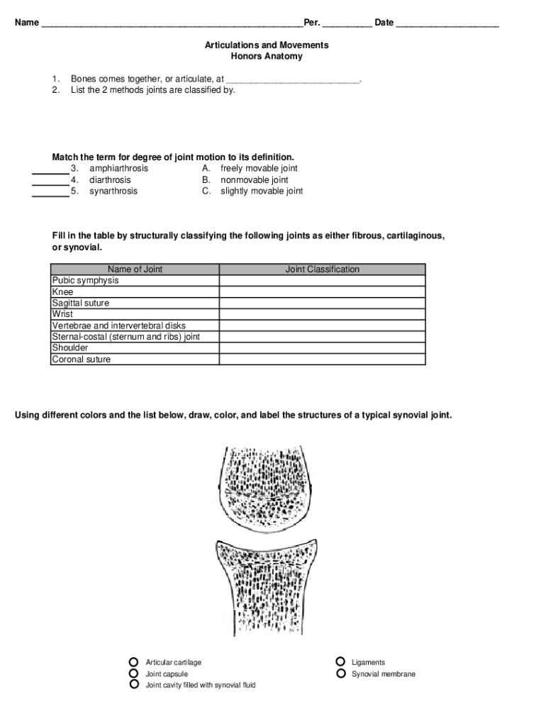 Fillable Online Anatomy Worksheet 5 Articulations (Joints) Fax Email Print - pdfFiller