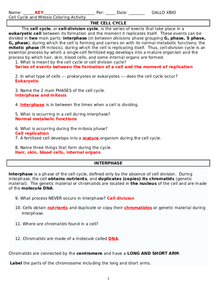 The Cell Cycle Coloring Worksheet Answers Flashcards Doc Template ...
