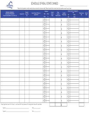 Fillable Online Schedule Of Real Estate Owned Form - Fill Online ...