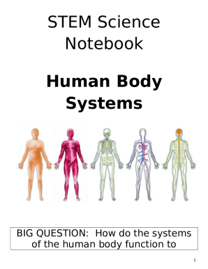 human body stem packet.docx - STEM Science Notebook Human... Doc ...