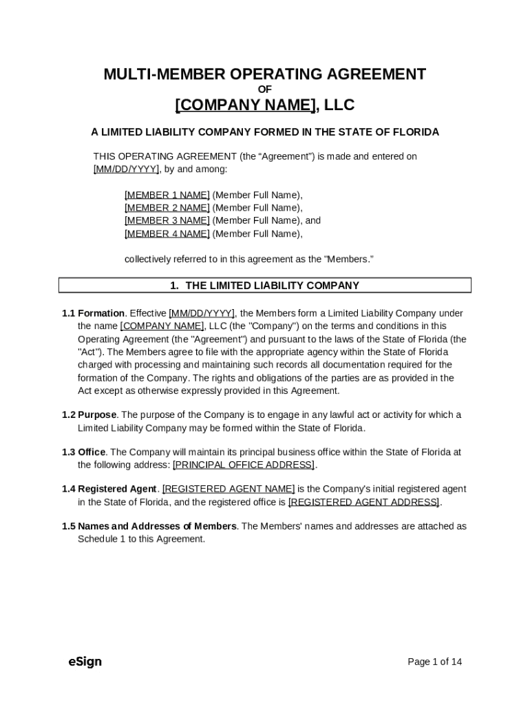 Multi-Member Operating Agreement for Florida LLC - Blank Fillable ...