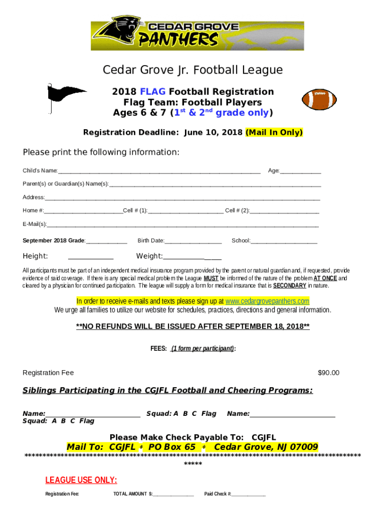 Cedar Grove Junior Panthers Football & Cheer Program Doc Template ...