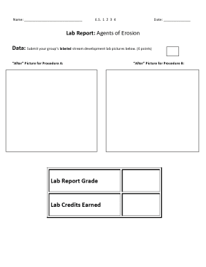 Fillable Online Agents of Erosion Lab Report.docx Fax Email Print ...