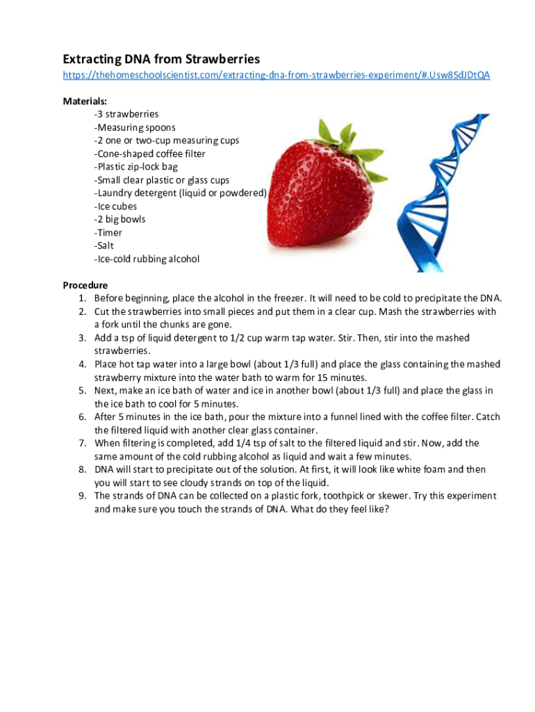 Fillable Online com/extracting-dna-from-strawberries-experiment/# Fax ...