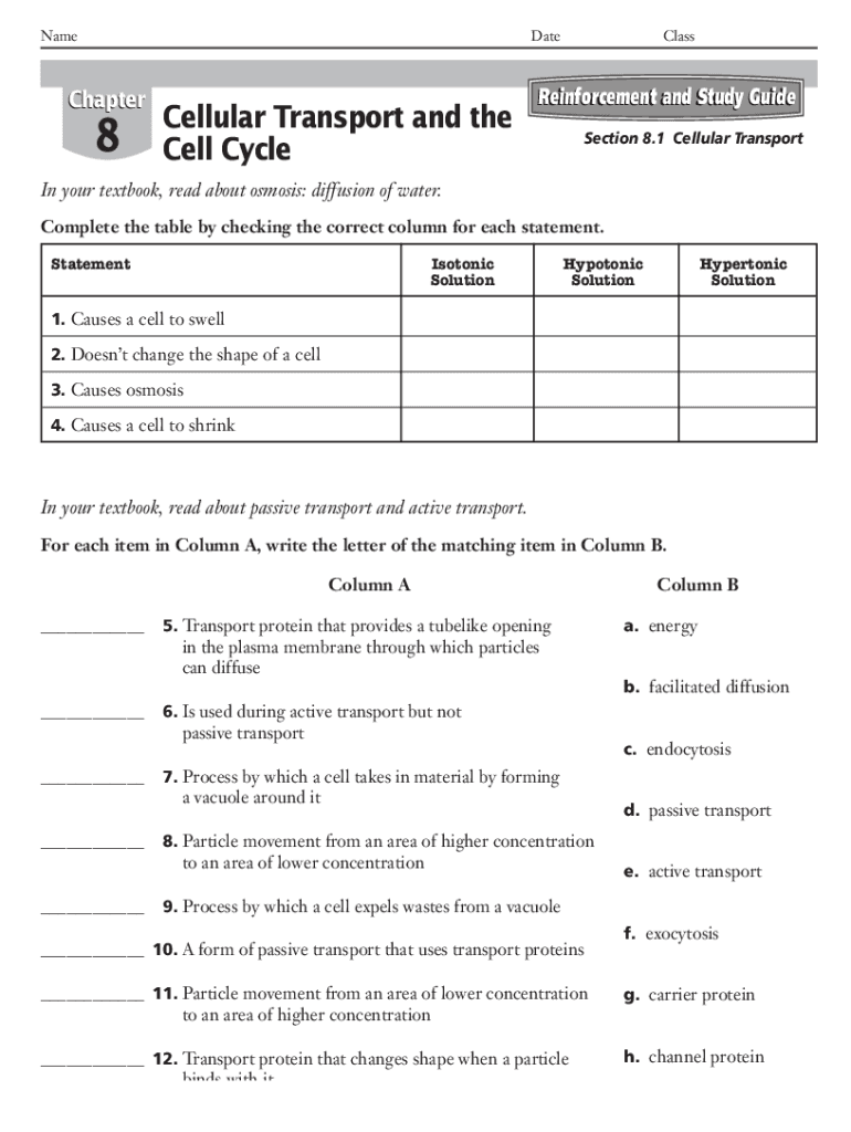 Fillable Online Cell Transport Review Worksheet Flashcards Fax Email ...