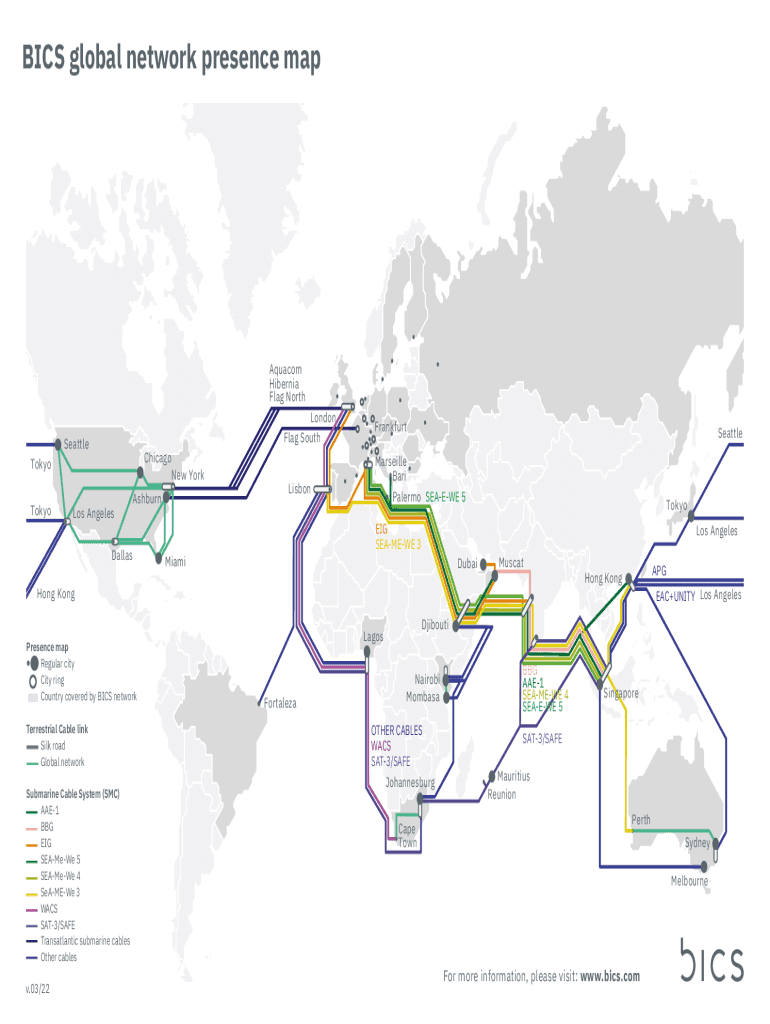 Fillable Online Scale capacity at will and enter new global markets ...