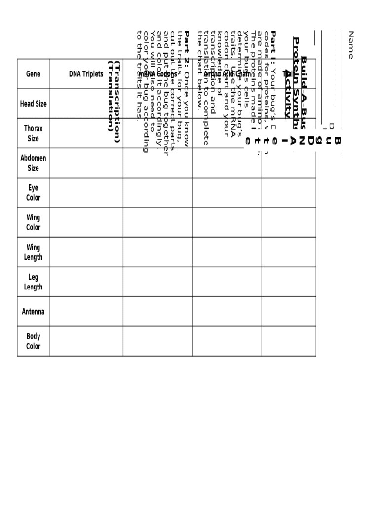 Build-A-Bug Protein Synthesis Activity: Decode DNA and ... Doc Template ...