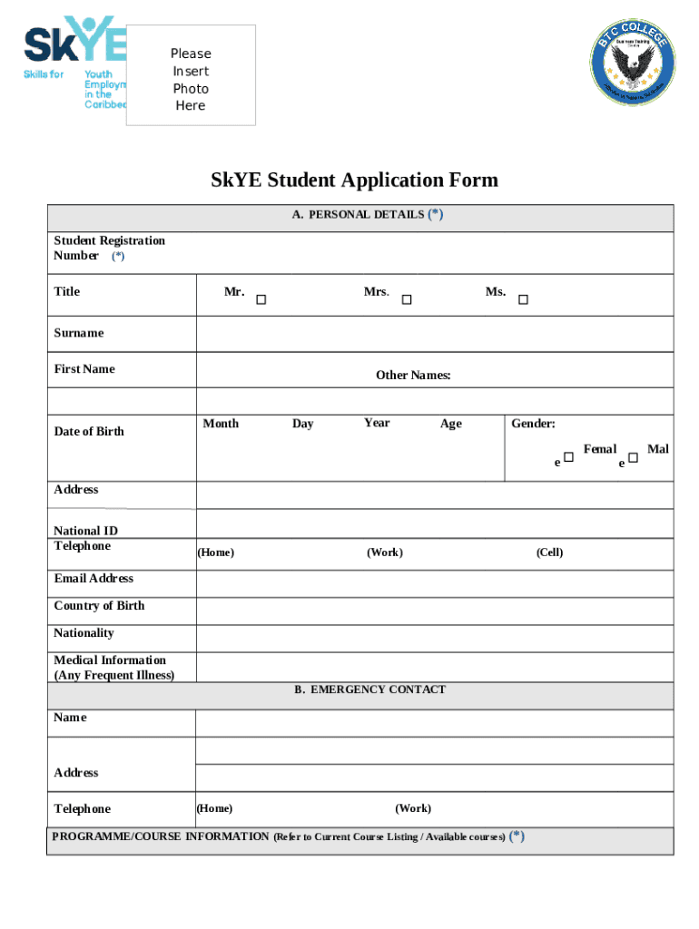 SkYE Student Application Doc Template | pdfFiller