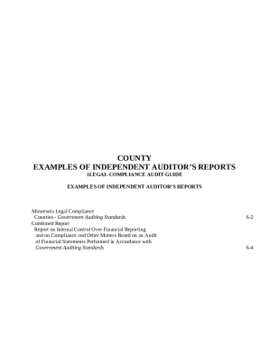 Government auditing standards report illustrations Doc Template | pdfFiller