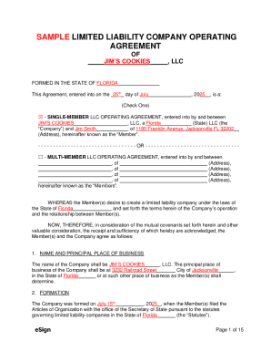 Fillable Online florida-llc-operating-agreement-sample.pdf - Excel TMP ...