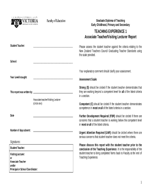 Visiting Lecturer Preliminary Certificate Overview Doc Template | pdfFiller