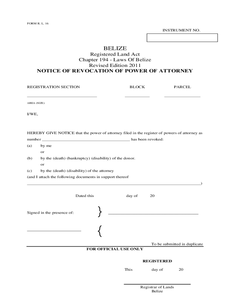 Fillable Online Revocation of Power of Attorney Application Fax Email Print - pdfFiller