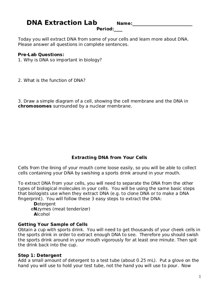 DNA Extraction Virtual Labs Q&A Sheet 2.docx - Name: Date Doc Template ...