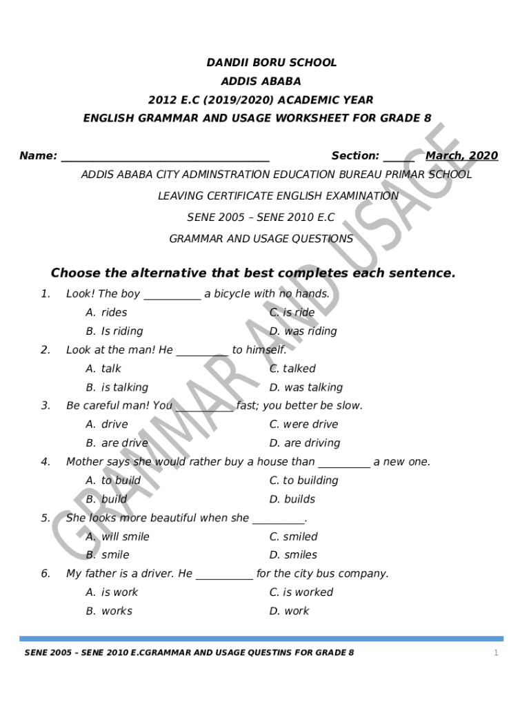 ENGLISH GRAMMAR AND USAGE.docx - Dandii Boru School Doc Template ...