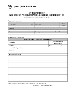 The Ultimate Guide to Writing Your Experience Record Doc Template ...