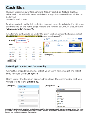 Fillable Online Cash Bids Fax Email Print - pdfFiller