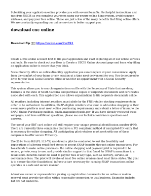 Fillable Online Best Practices on Filing USCIS Forms Fax Email Print ...