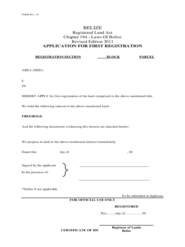 Fillable Online Application for First Registration - Ministry of ...