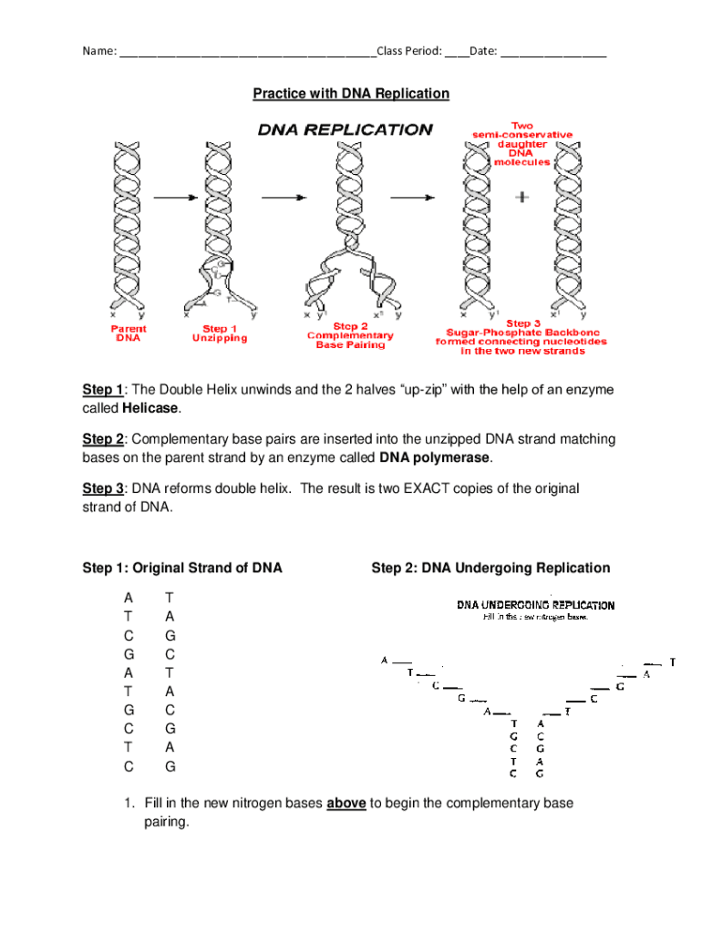 Fillable Online DNA Replication EnzymesOverview, List & Order - Lesson Fax Email Print - pdfFiller