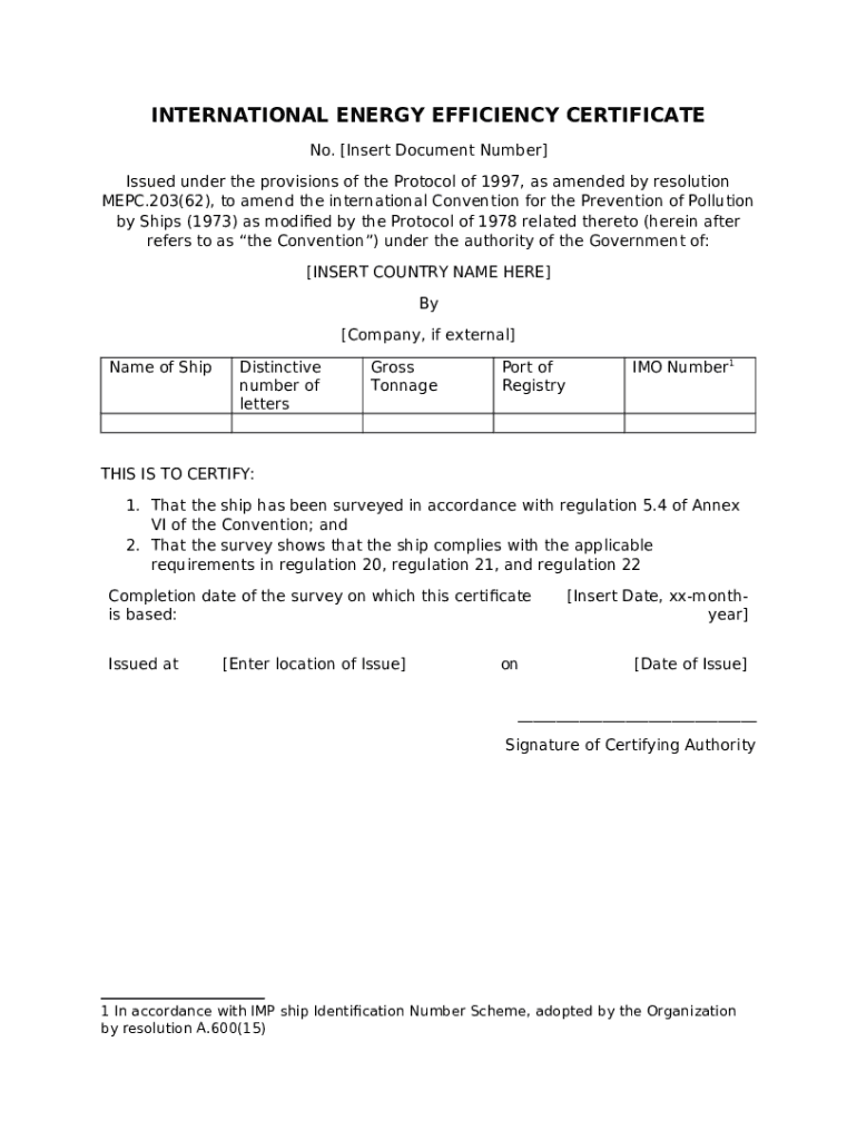 INTERNATIONAL ENERGY EFFICIENCY (IEE) CERTIFICATE Doc Template | pdfFiller