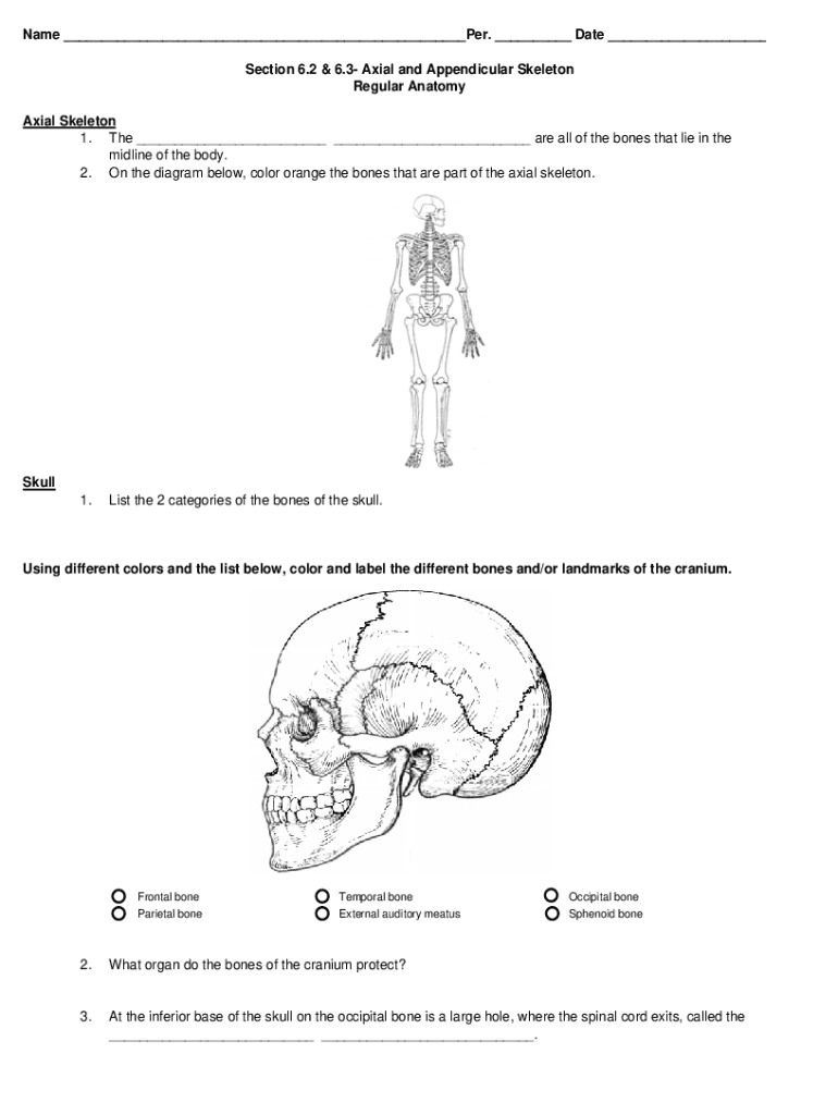 Fillable Online 7.1 Divisions of the Skeletal SystemAnatomy ...