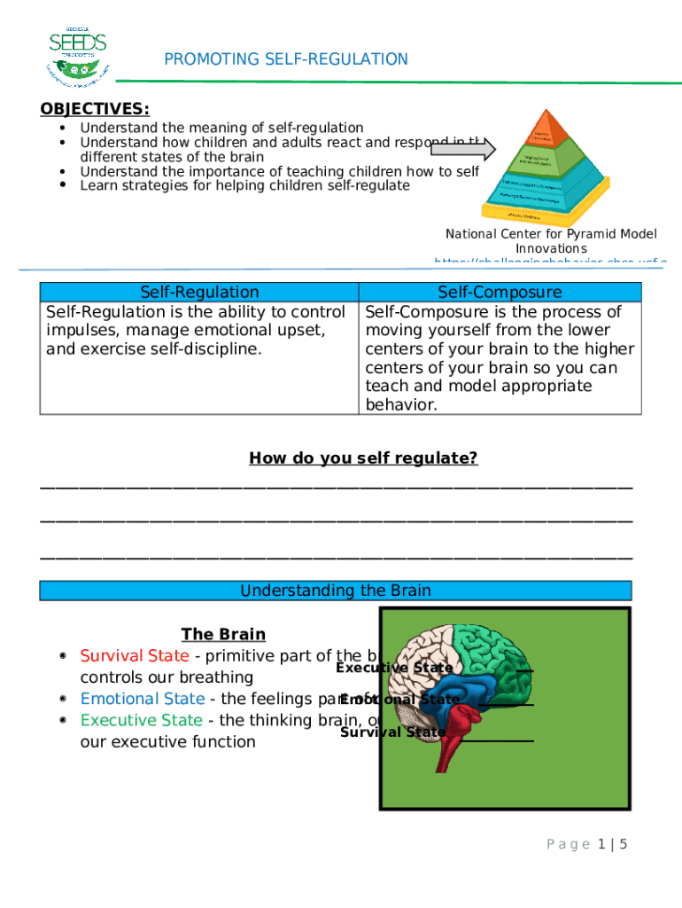 How Can We Help Kids With Emotional Self-Regulation? Doc Template ...