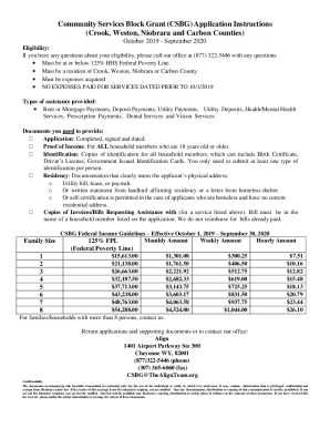 Fillable Online Community Services Block Grant (CSBG) : For Providers ...