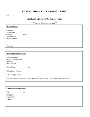 Electronic Application for School Pupils Doc Template | pdfFiller
