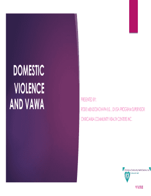 Fillable Online DOMESTIC VIOLENCE AND VAWA Fax Email Print - pdfFiller
