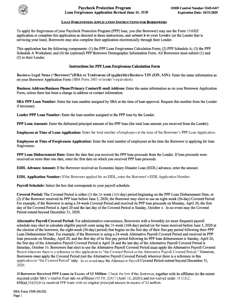 Fillable Online PPP Loan Forgiveness Application Instructions (Revised ...