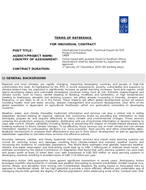 Template - Terms of Reference for IC - erc undp Doc Template | pdfFiller