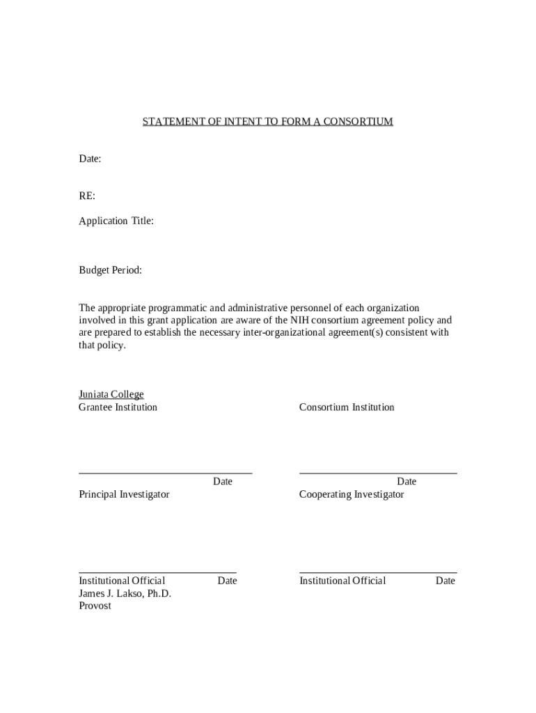 STATEMENT OF INTENT TO A CONSORTIUM Doc Template | pdfFiller