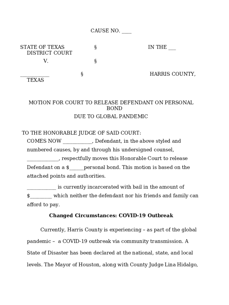 Recent Bail Litigation in North Carolina & the United States Doc ...