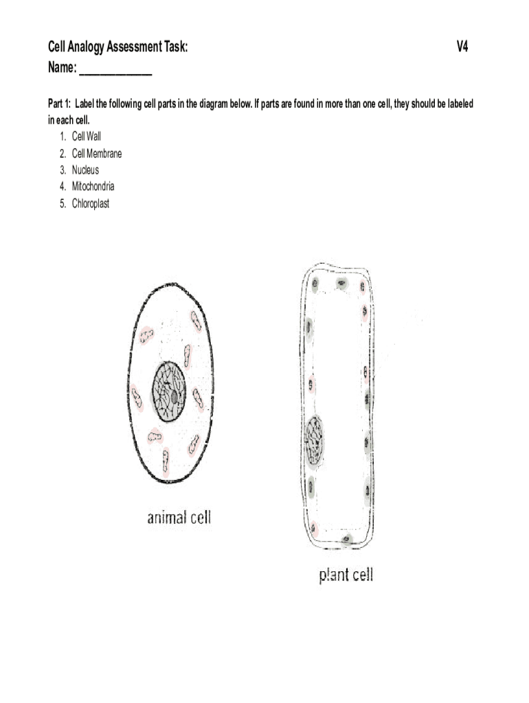 Fillable Online Parts of a Cell/Analogies Flashcards Fax Email Print ...
