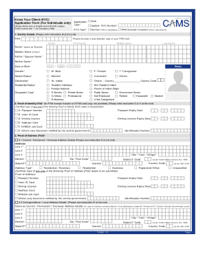 Fillable Online KYC Application Form (For Individuals only) Fax Email ...
