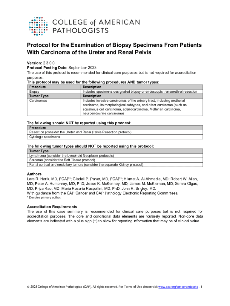 Fillable Online Renal Masses in the Adult Patient: The Role of Percutaneous ... Fax Email Print ...
