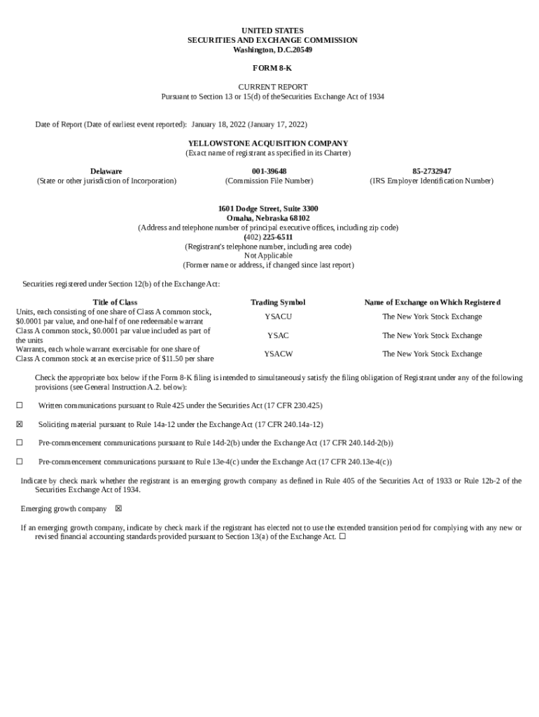 Yellowstone Acquisition Co (. EDGAR Online Pro Doc Template | pdfFiller