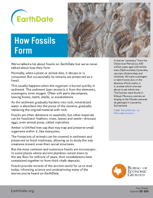 Fillable Online Can you explain how fossils form, and illustrate how ...