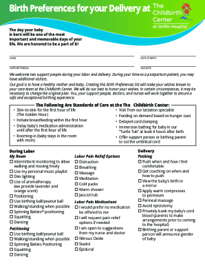 Fillable Online Childbirth Preference Form Fax Email Print - pdfFiller