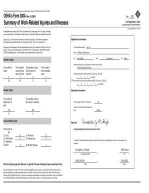 Fillable Online Summary of Work-Related Injuries and Illnesses - LookUp Fax Email Print - pdfFiller