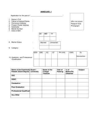 Fillable Online ANNEXURE I Application for the post of 1. Name in Full ...