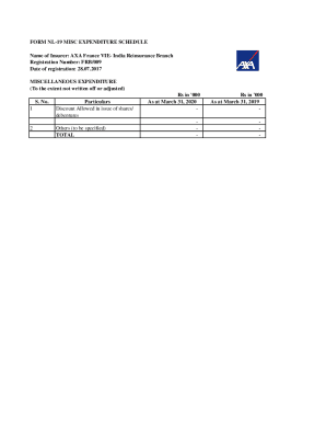 Fillable Online FORM NL-19 MISC EXPENDITURE SCHEDULE Name of ... Fax Email Print - pdfFiller