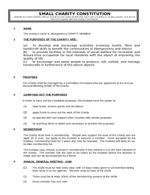 1.8 Model Constitution for setting up a small charity Doc Template ...