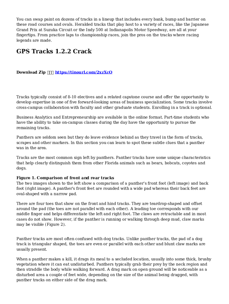 Fillable Online Tried to create a simple oval racetrack using only ...