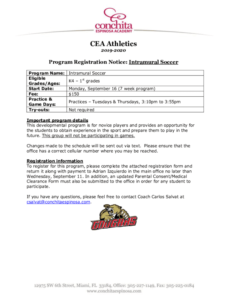 Fillable Online Intramural Soccer Program Overview Fax Email Print ...