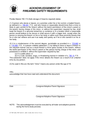 Fillable Online Florida State Gun Laws and Regulations Explained Fax ...