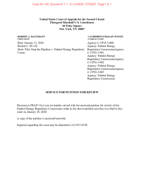 Fillable Online Docket #: 20-158 Fax Email Print - pdfFiller